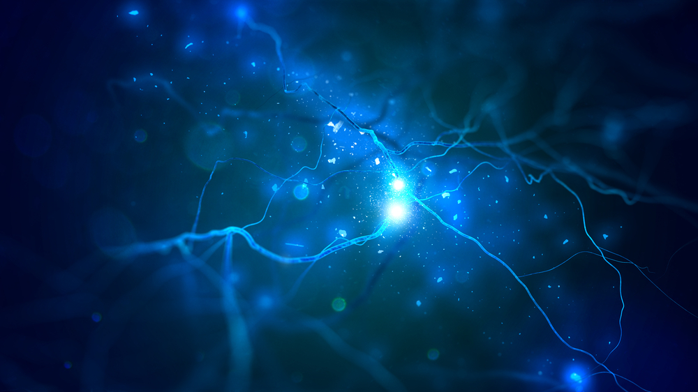 Researchers image complete nervous system in real time | 意得辑专家视点 ...