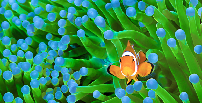 Fish larvae feeding on microplastic particles display altered behavior ...