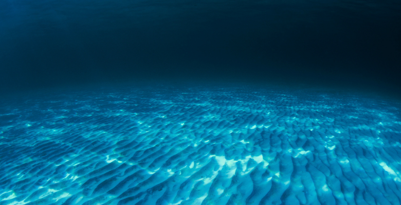 The deepest part of the world’s ocean is far from silent | 意得辑专家视点 ...