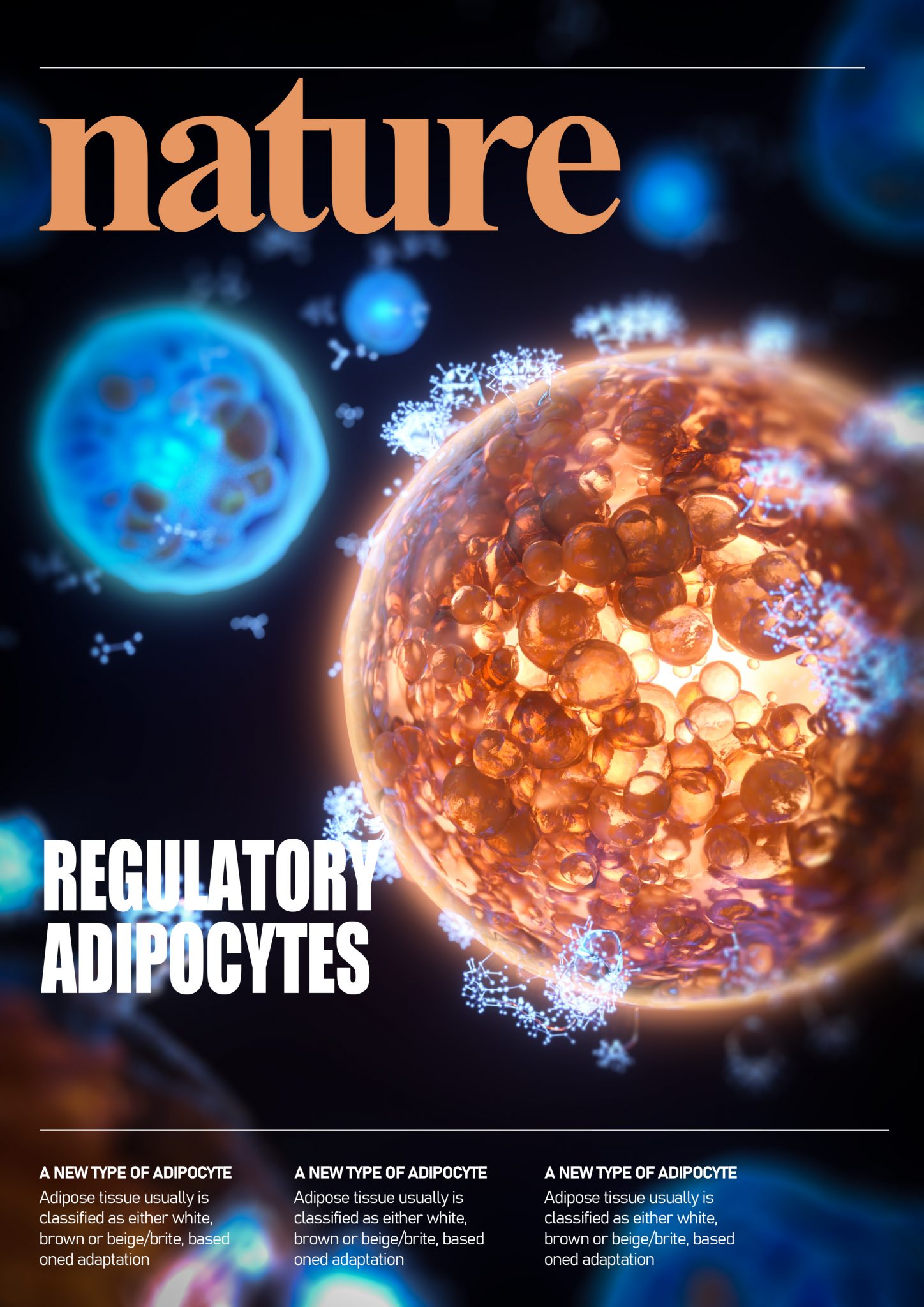 速看！SCI封面设计要点与创意技巧全攻略指南！-意得辑Editage