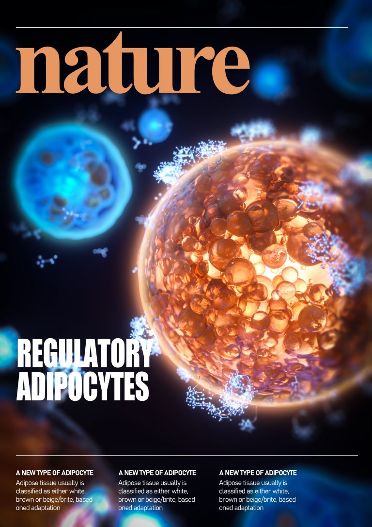 速看！SCI封面设计要点与创意技巧全攻略指南！-意得辑Editage